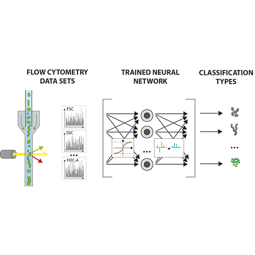 New prospects for routine microbiota analyses with flow cytometry - NCCR